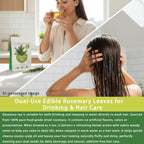 caffeine-free rosemary tea bags
