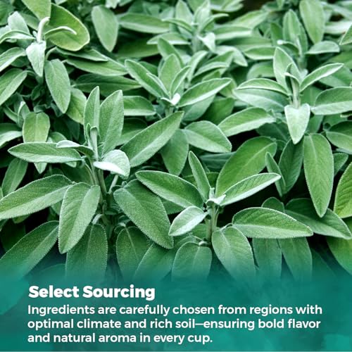 caffeine-free sage tea for wellness