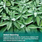 caffeine-free sage tea for wellness