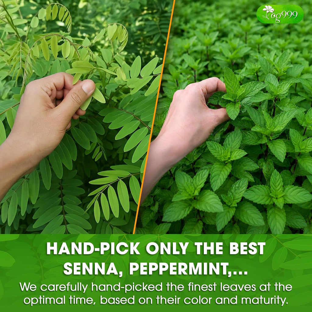 Caffeine-free Senna herbal infusion