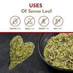 Caffeine-free senna leaf infusion