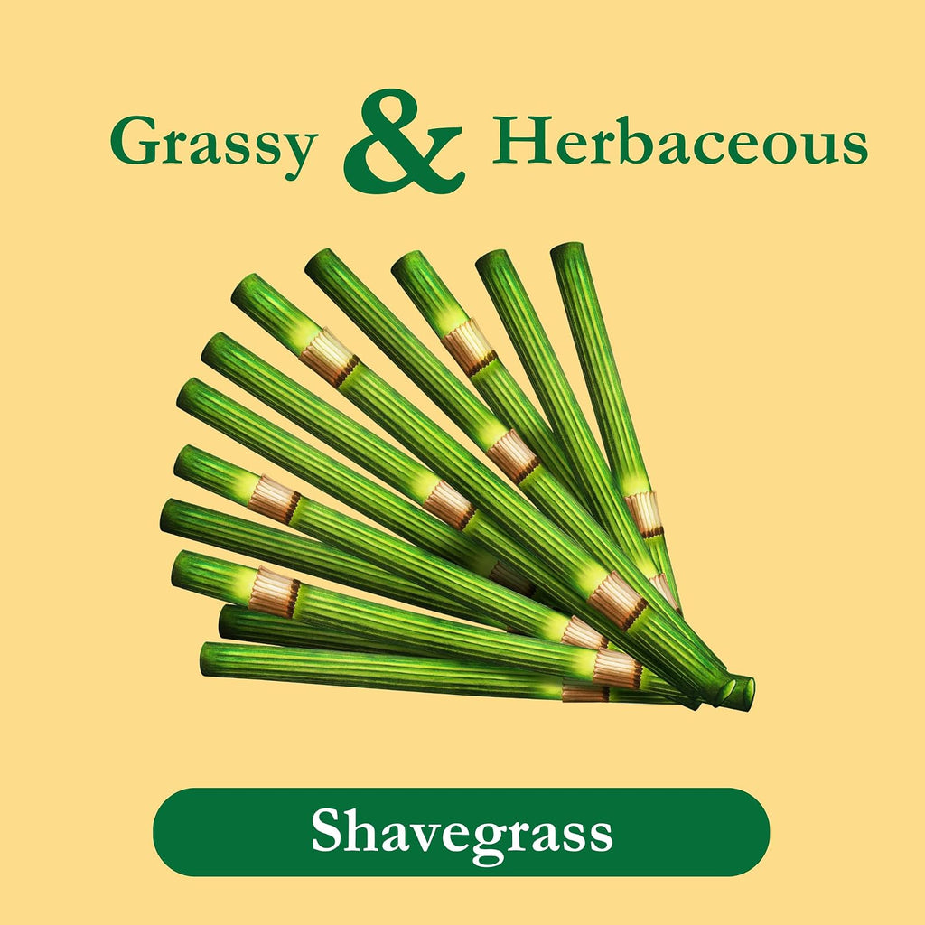caffeine free shavegrass tea bags