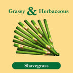 caffeine free shavegrass tea bags