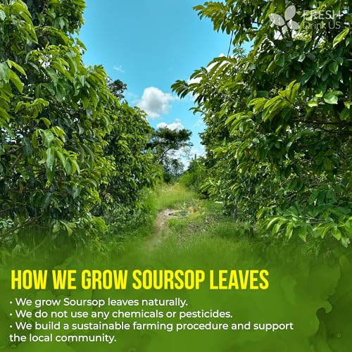caffeine-free soursop herbal infusion