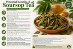 caffeine-free soursop tea for wellness