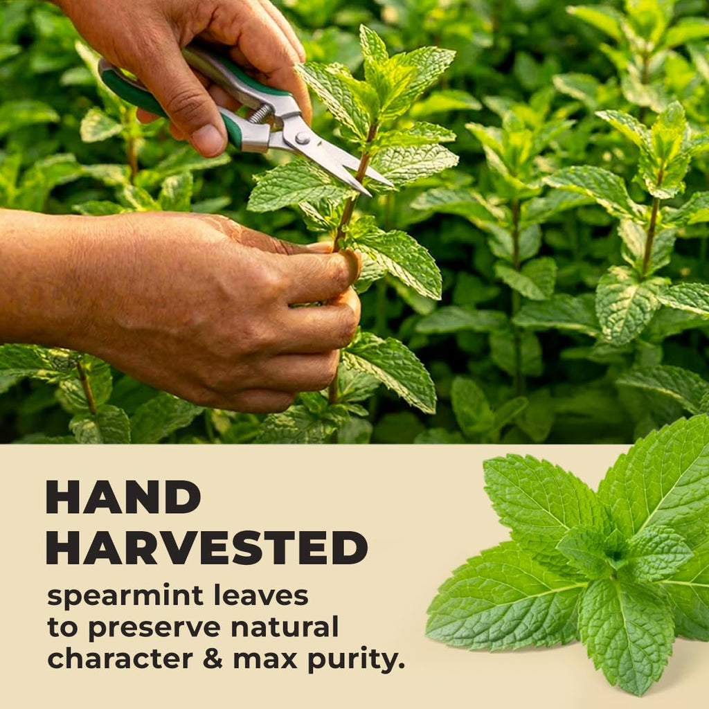 caffeine-free spearmint tea bags