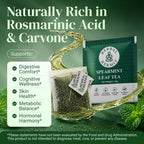 caffeine-free spearmint tea bags