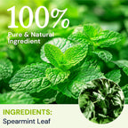 caffeine free spearmint tea blend