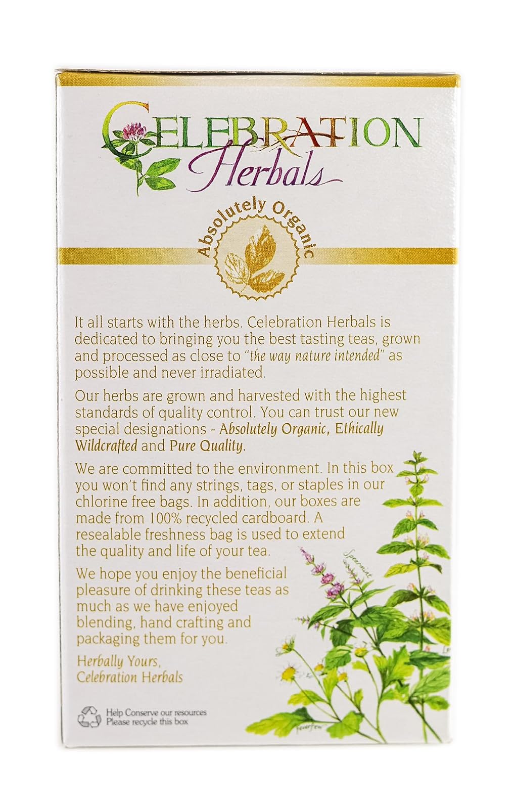 caffeine-free St John's Wort infusion