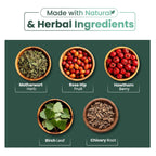 caffeine-free tea for daily wellness