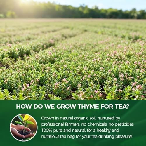 caffeine-free thyme herbal infusion