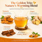 caffeine-free turmeric ginger infusion