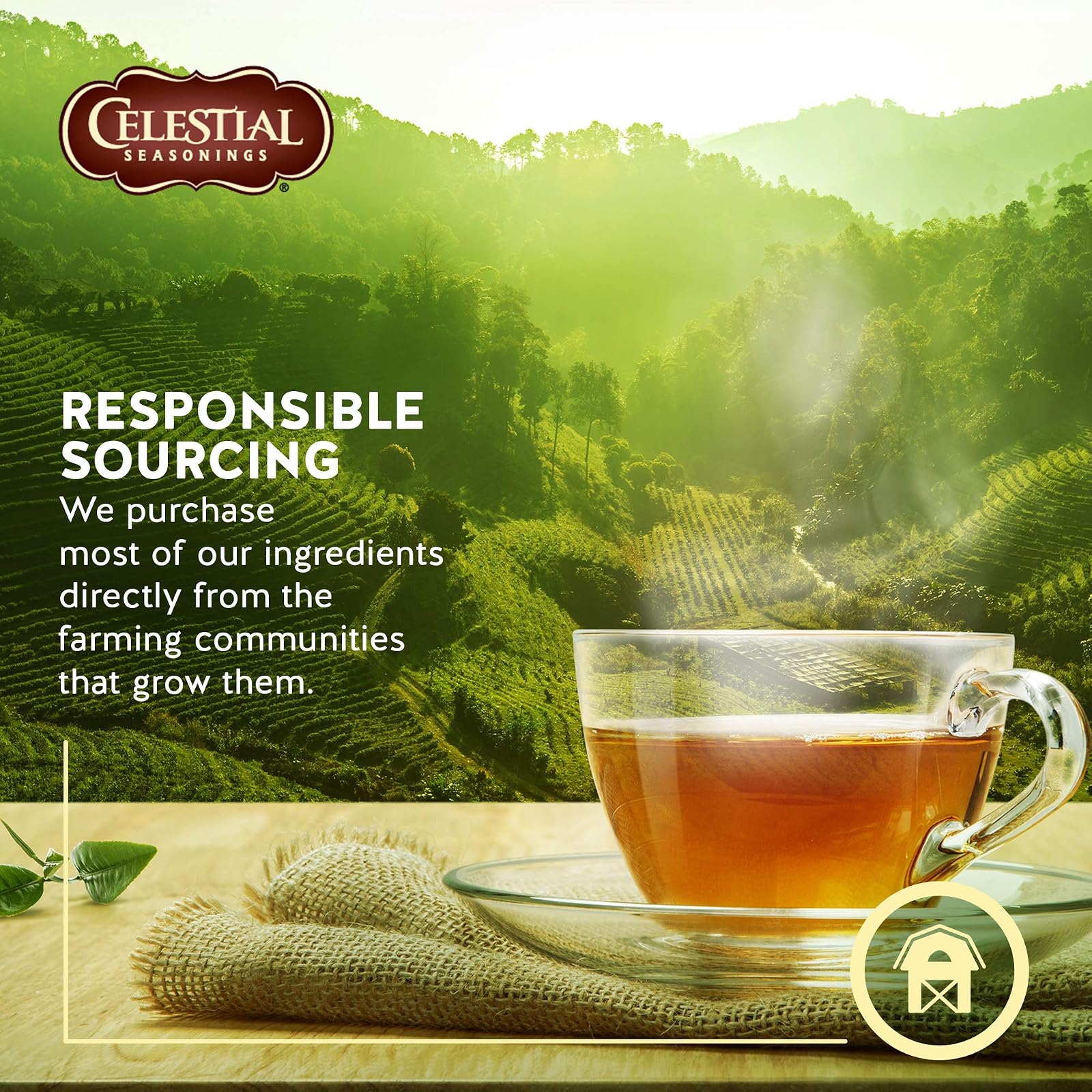 caffeine-free wild berry tea blend