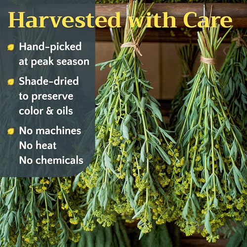Caffeine-free wormwood herbal infusion