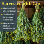 Caffeine-free wormwood tea blend