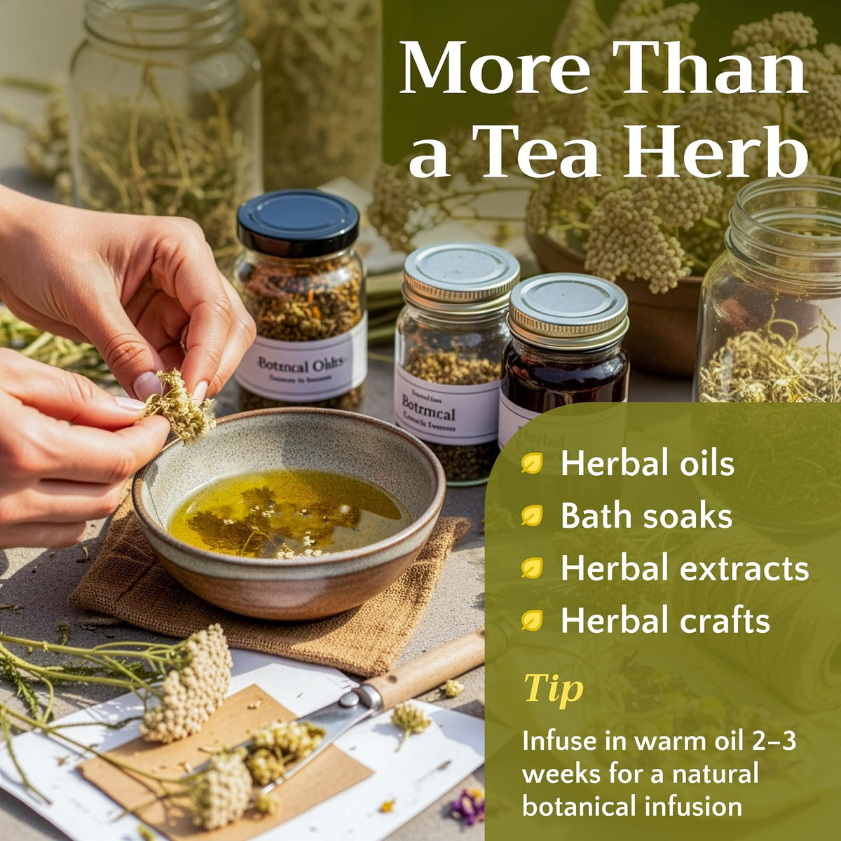 Caffeine-free yarrow herbal infusion