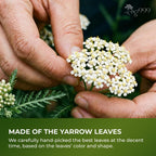 caffeine-free yarrow tea bags for calming
