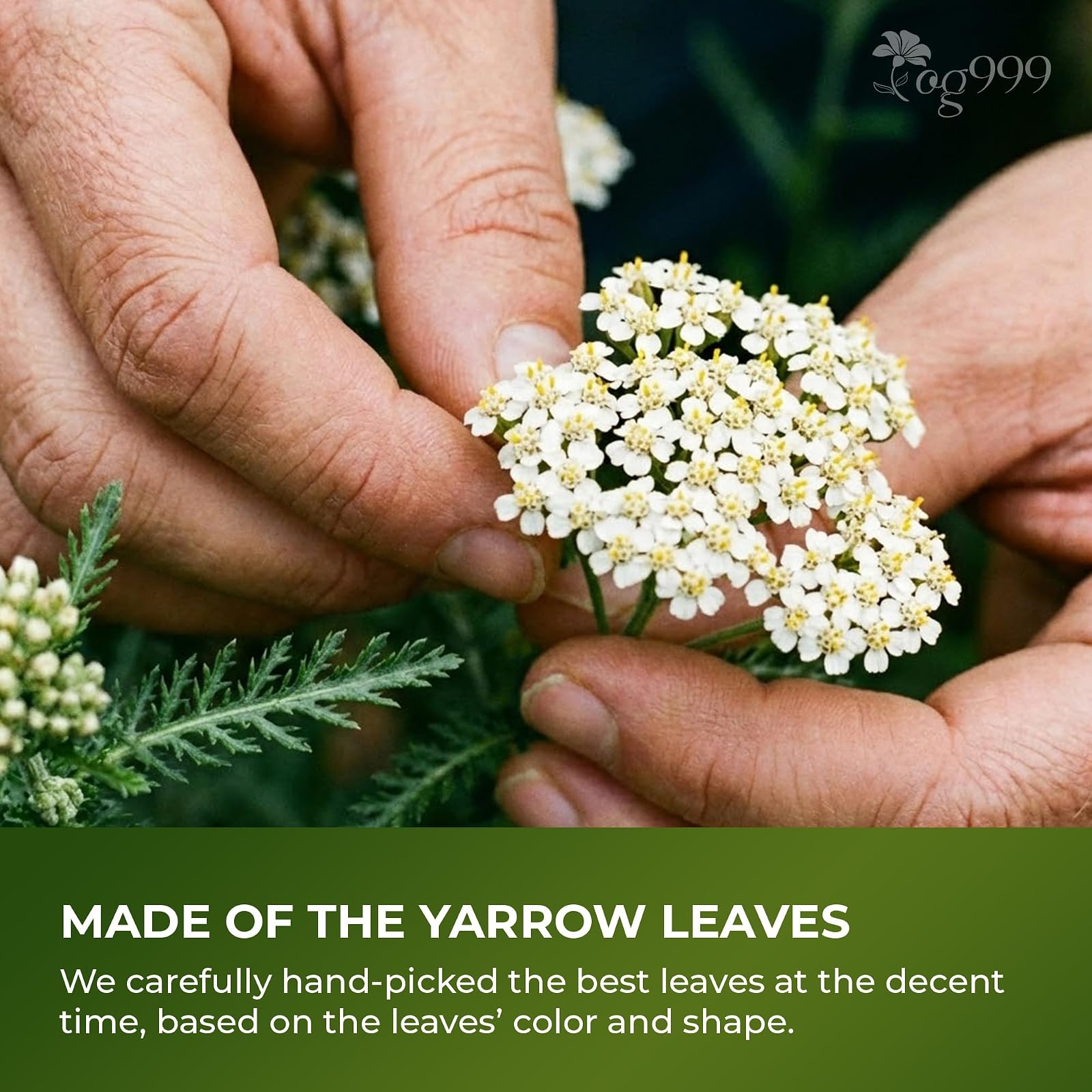 caffeine-free yarrow tea bags for calming