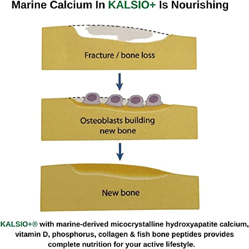 calcium and magnesium for muscle function