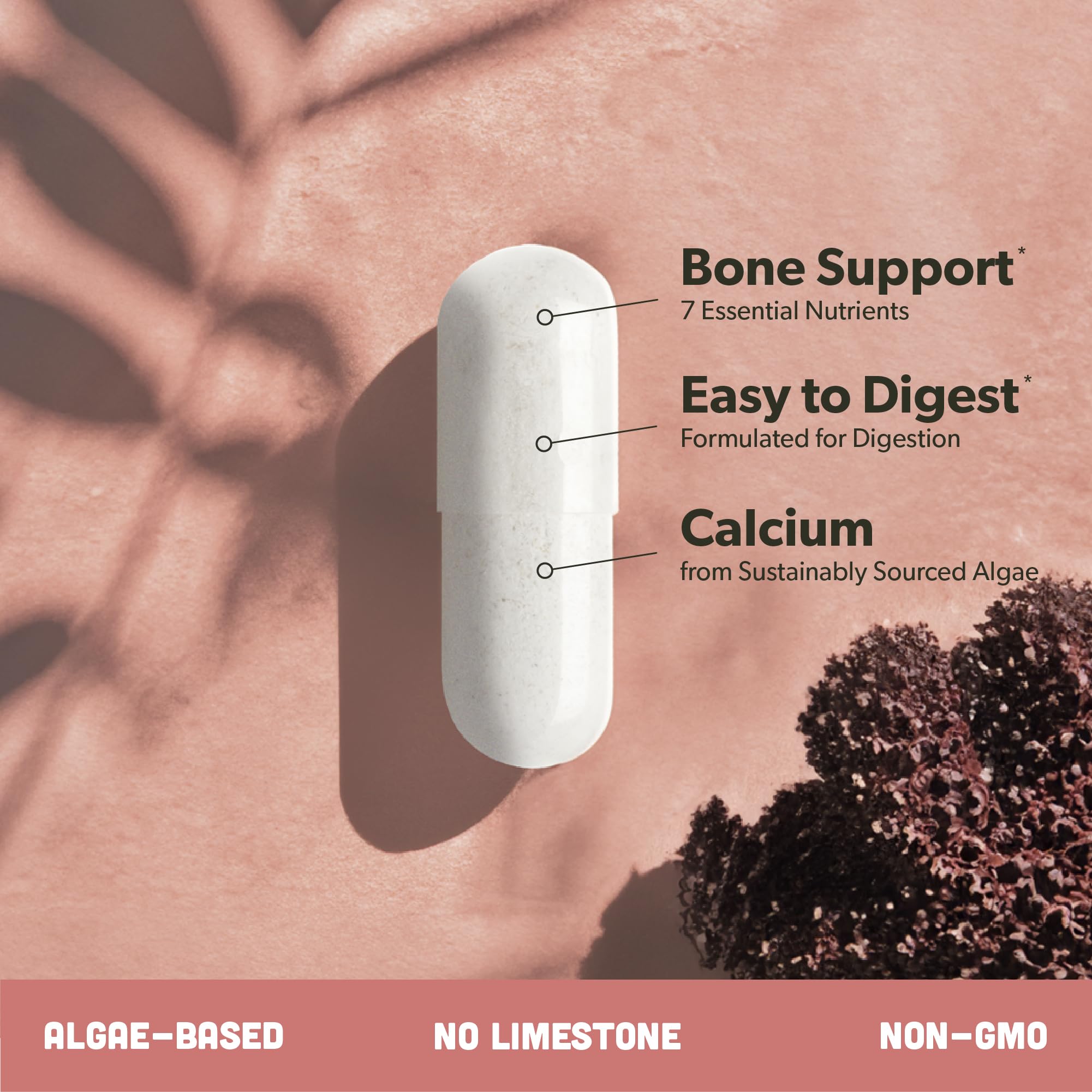 calcium and magnesium for muscle support