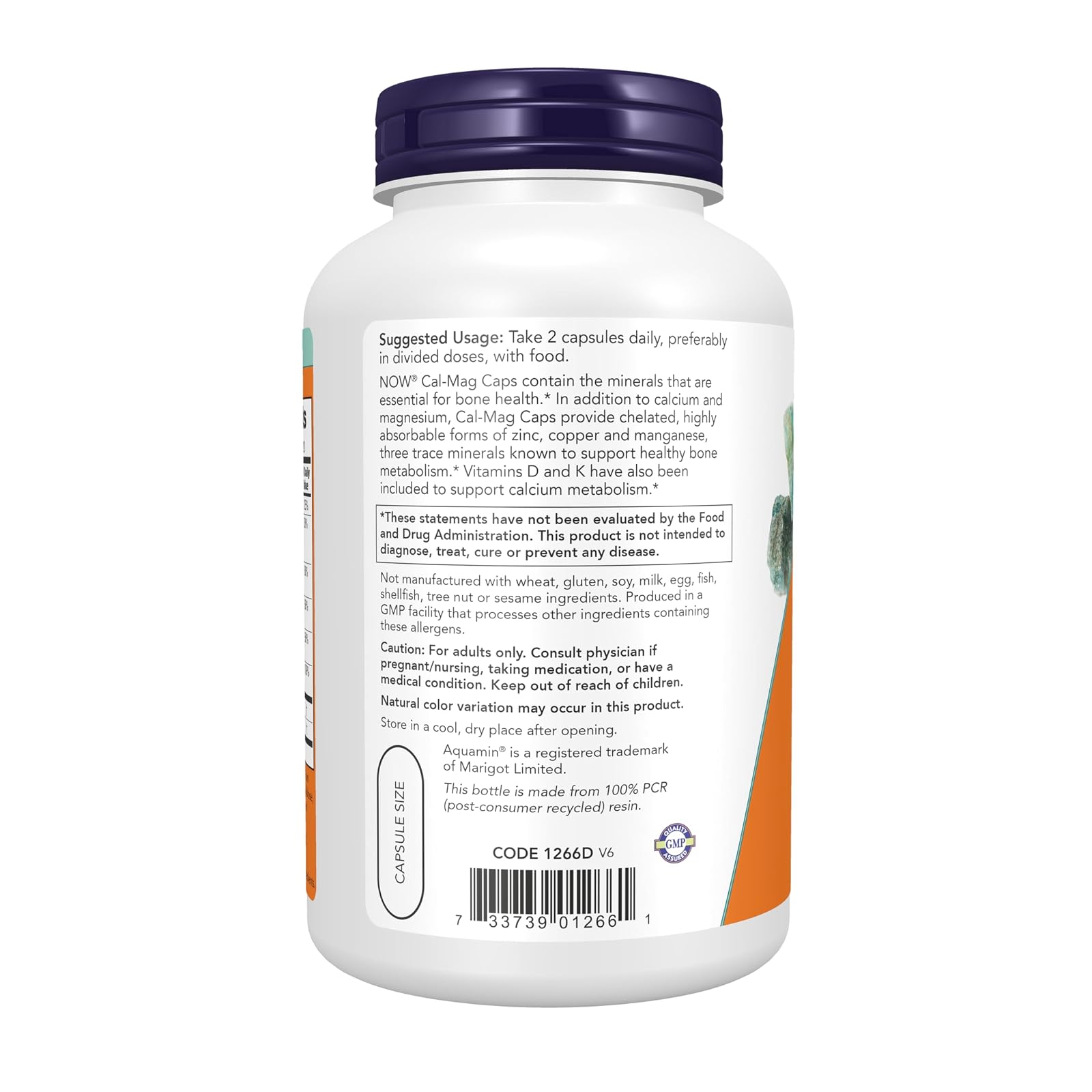 calcium and magnesium supplement for bones