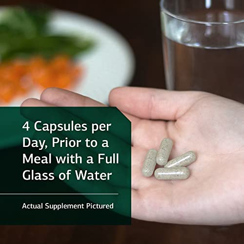 calcium capsules for gut wellness