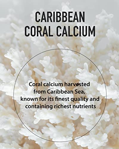 Calcium chewables for better absorption