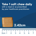 calcium citrate for bariatric patients