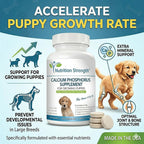 calcium citrate for strong dog bones