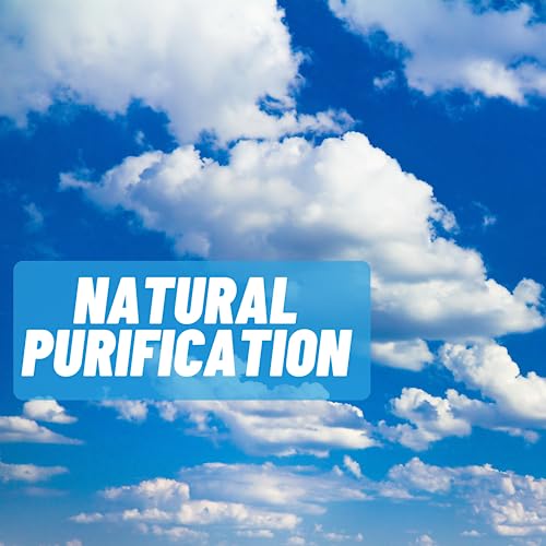 Calcium D-Glucarate for immune function