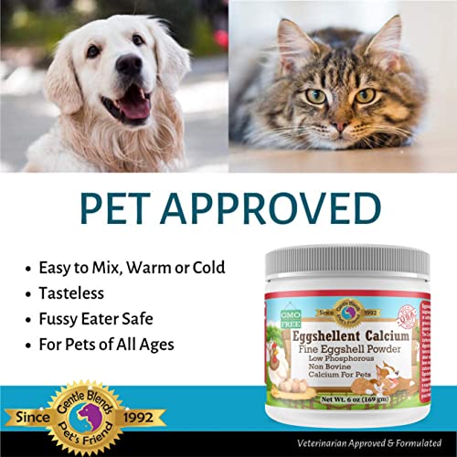 calcium for active pet lifestyles