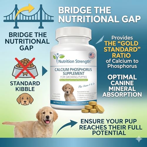 calcium for optimal dog development
