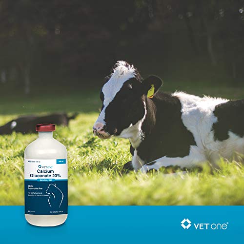 Calcium for strong bones in cattle