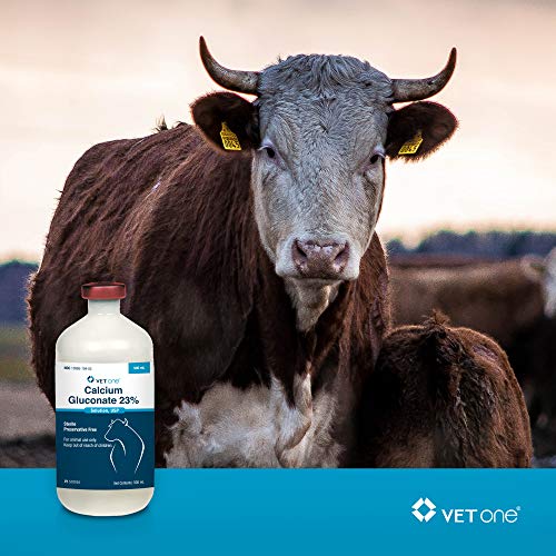 Calcium gluconate for livestock health