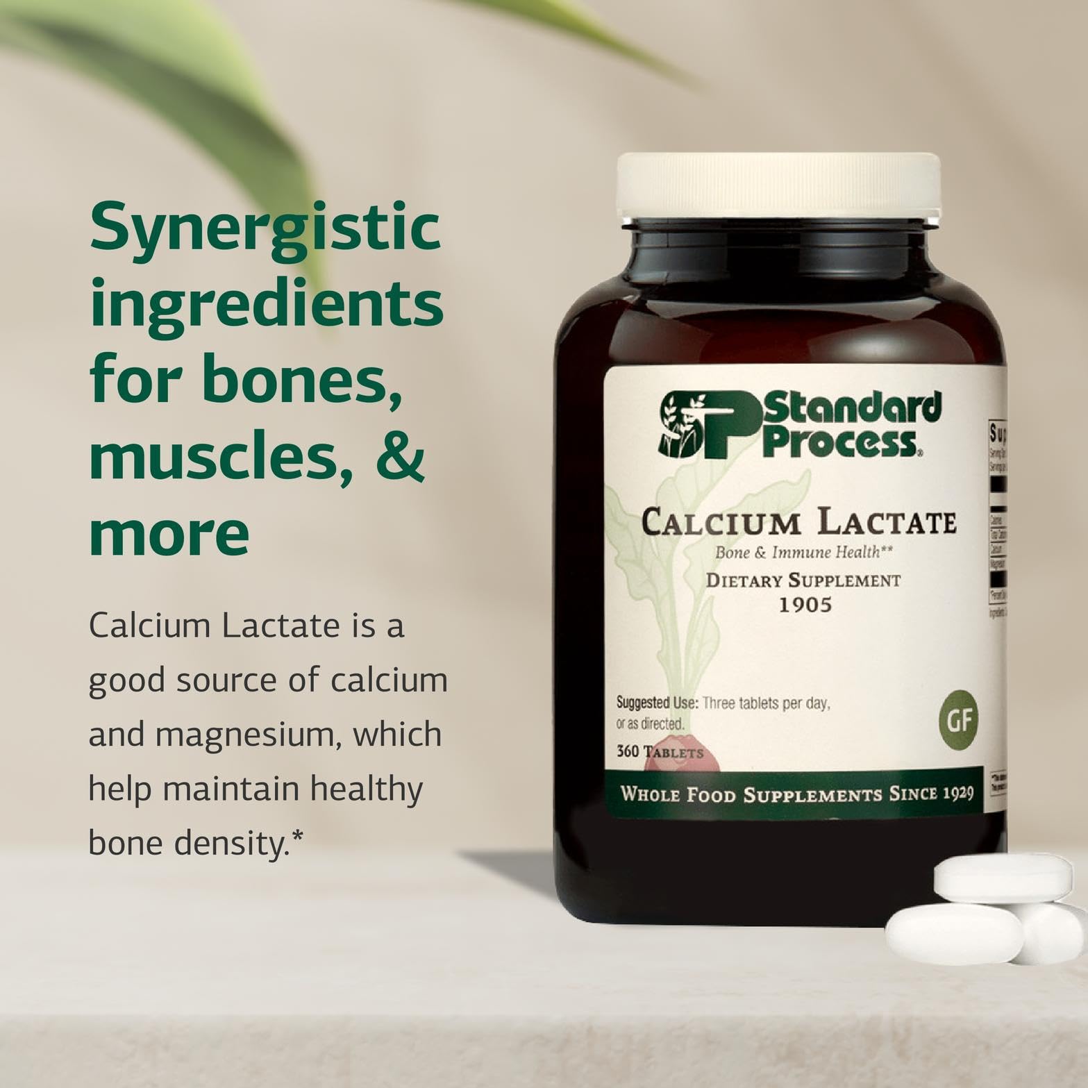 calcium lactate for strong bones