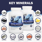 calcium magnesium for muscle function