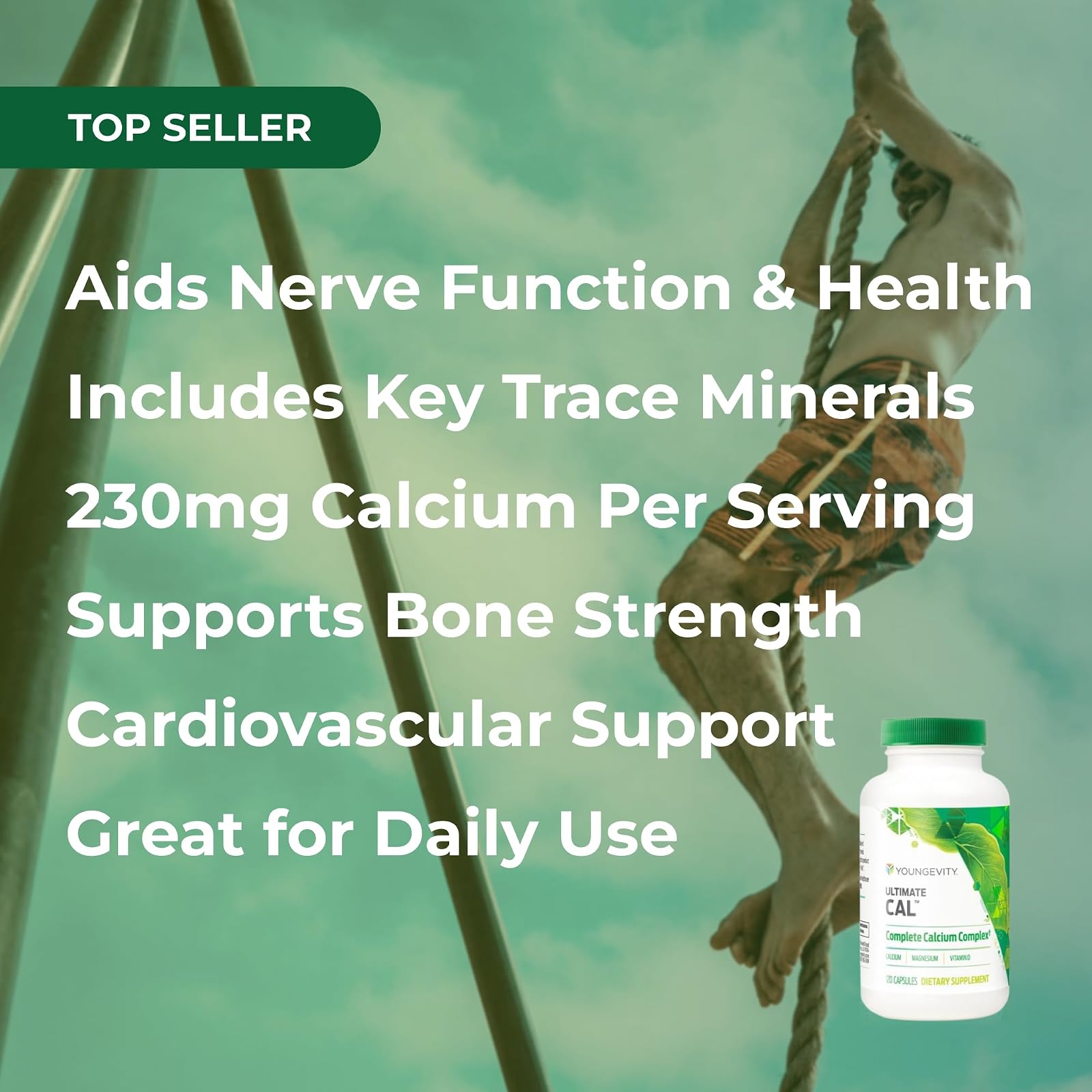 calcium magnesium for muscle support