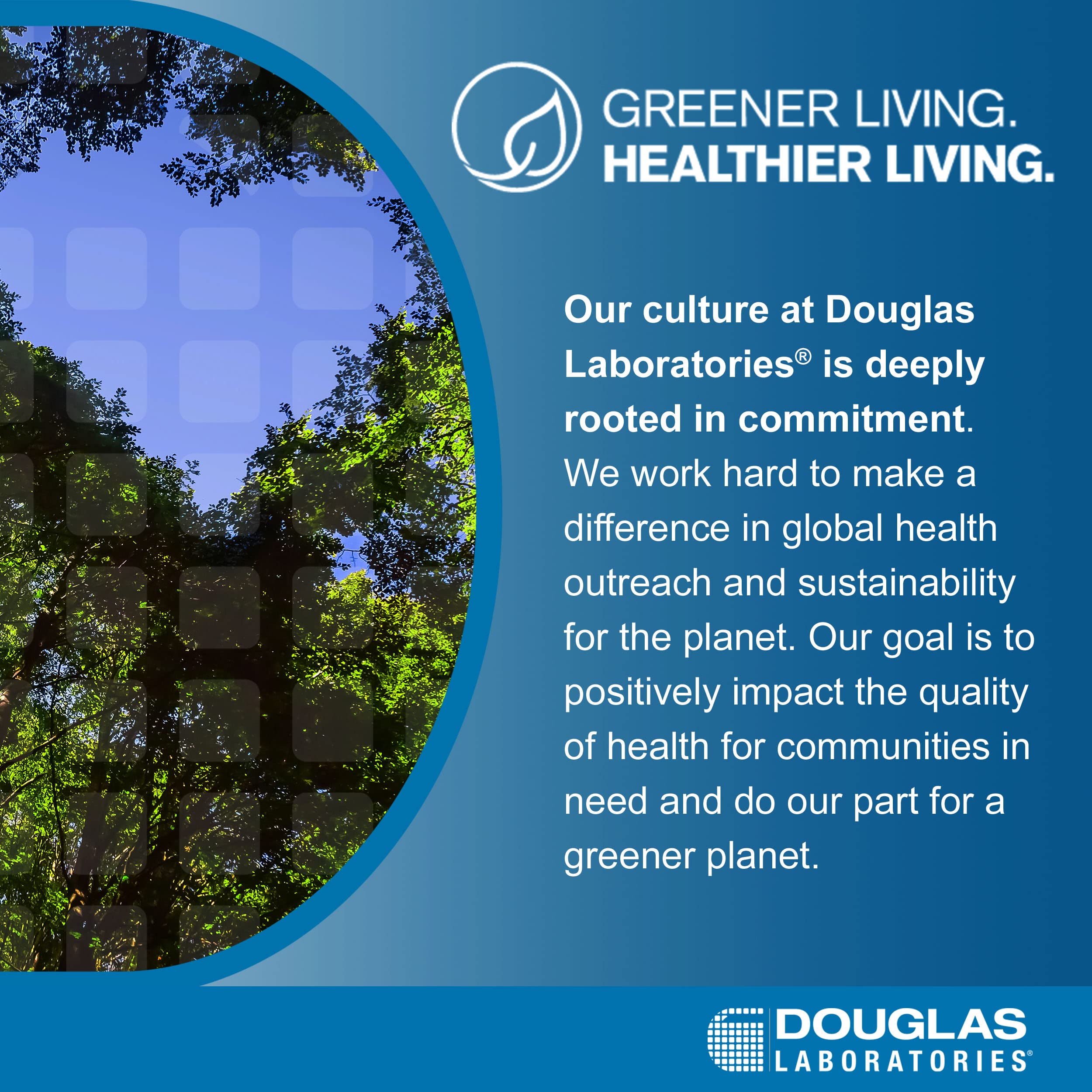 calcium magnesium for muscle support