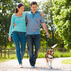 calcium magnesium zinc for bone strength