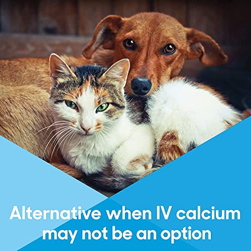 Calcium Now oral supplement benefits