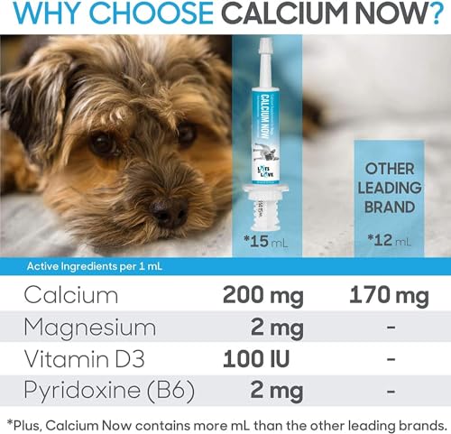 calcium now oral supplement for cats