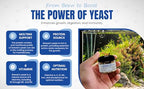 Calcium powder for daily nutrition
