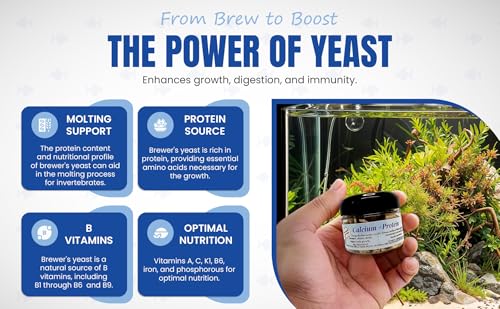 Calcium powder for daily nutrition