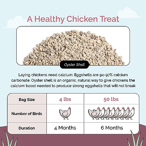 Calcium-rich poultry feed for better eggs