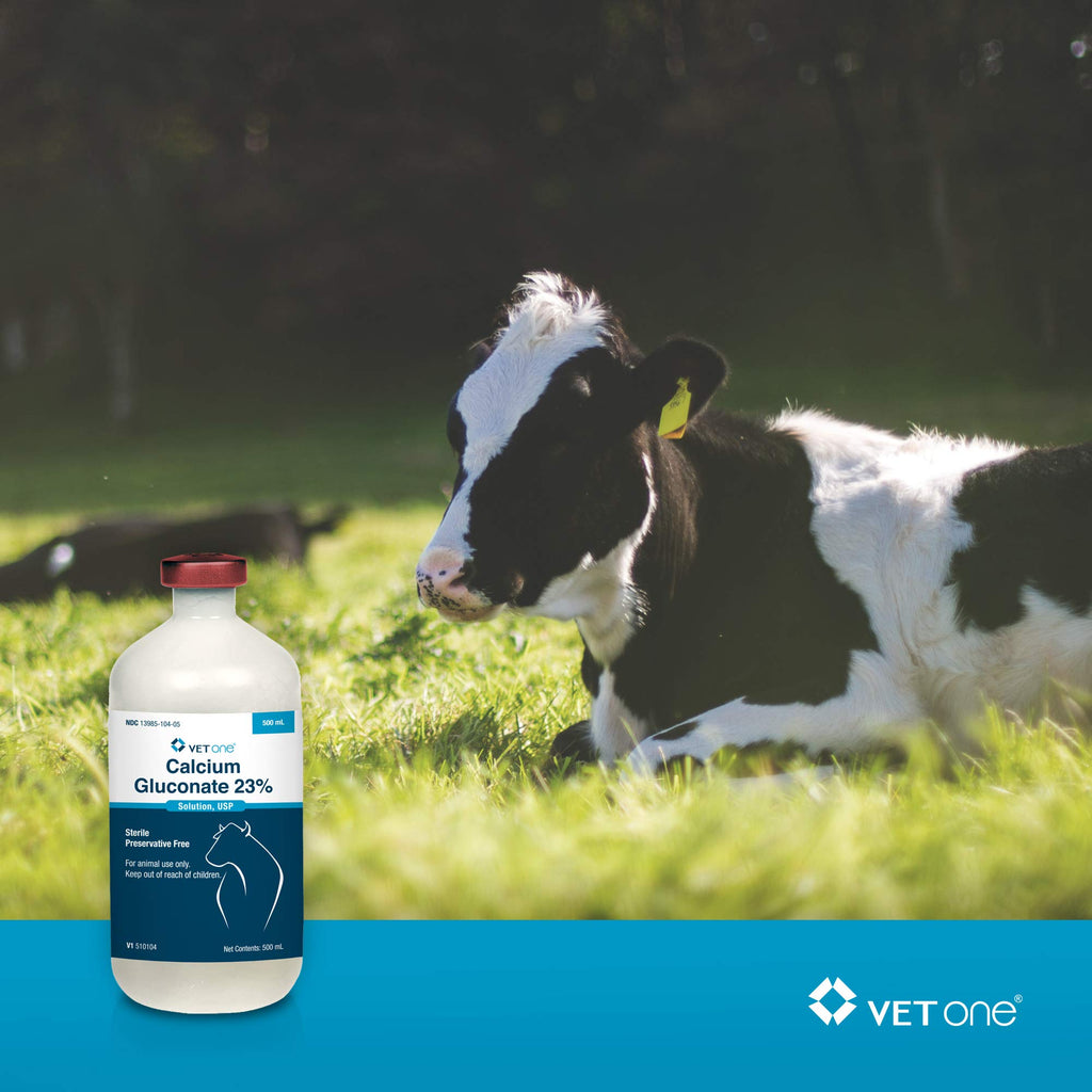 Calcium solution for cattle nutrition