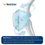 calcium supplement for daily health support
