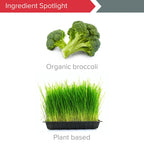 calcium supplement for daily wellness