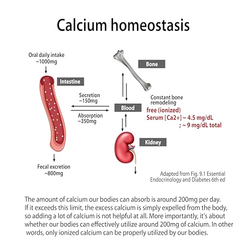 calcium supplement for overall health