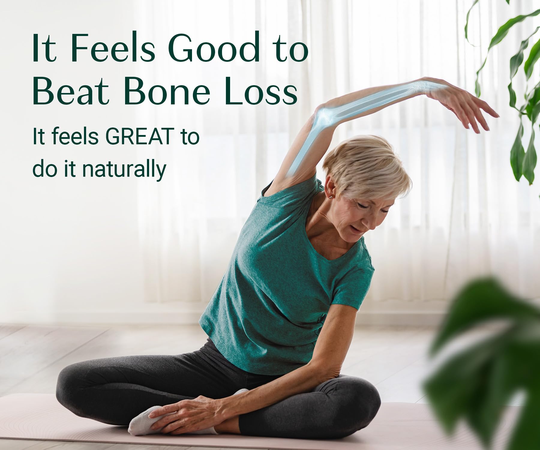 Calcium supplement ideal for bone density