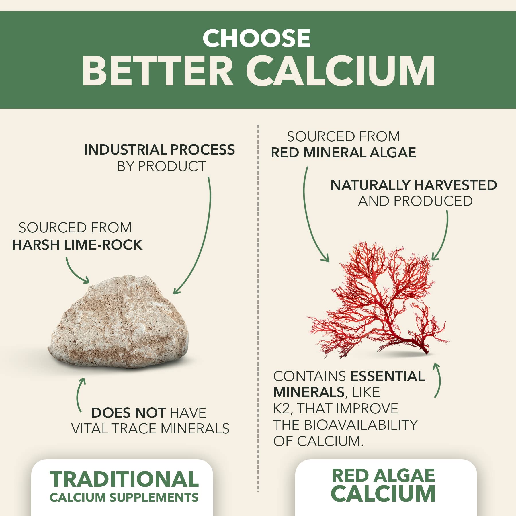 calcium supplement with magnesium